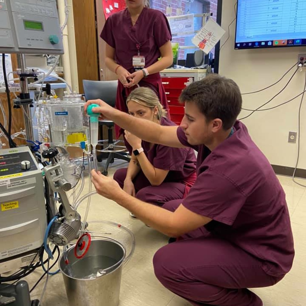 Blurring the line between simulation and reality | Perfusion Education ...