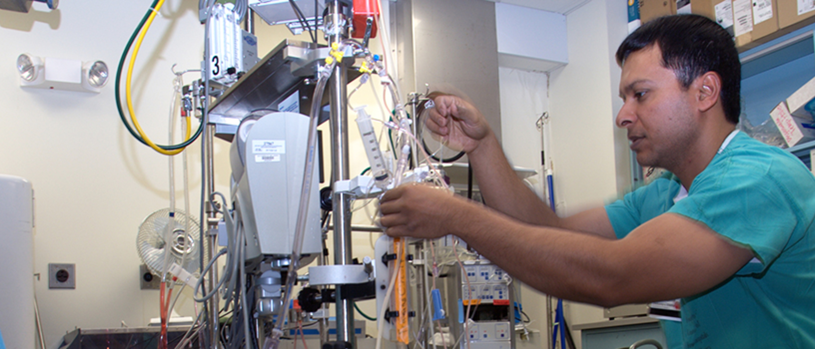 Perfusion Education Program | Carver College of Medicine | The ...