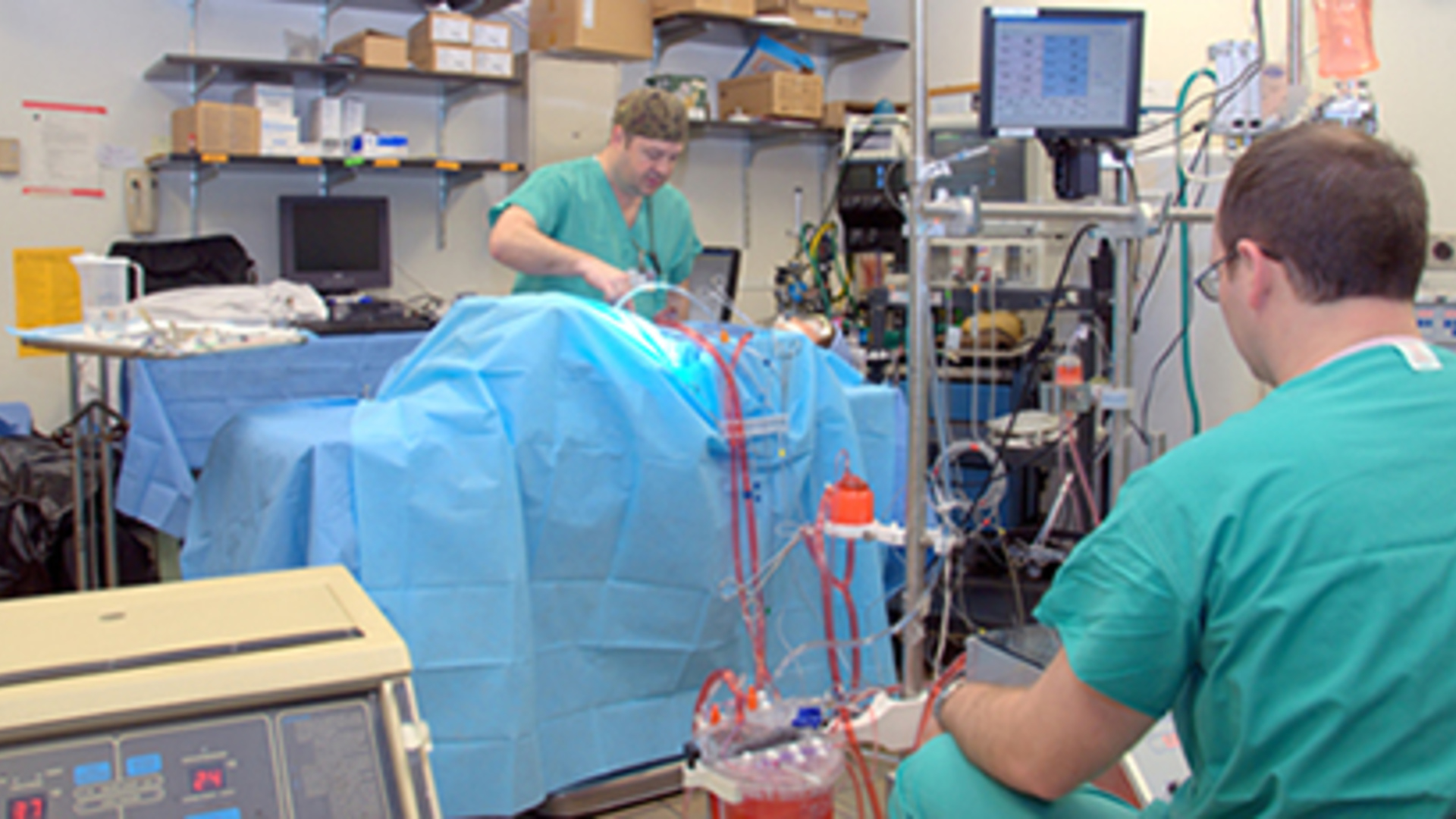 Blurring the line between simulation and reality | Perfusion Education ...